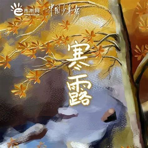今日寒露是时候拿出秋裤了 来源 侵权 带着