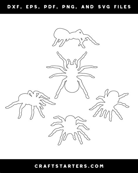 Tarantula Outline Patterns Dfx Eps Pdf Png And Svg Cut Files