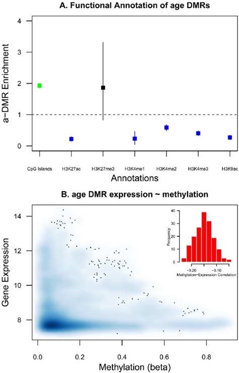 Functional Characterization Of A Dmrs A Enrichment And Depletion Of