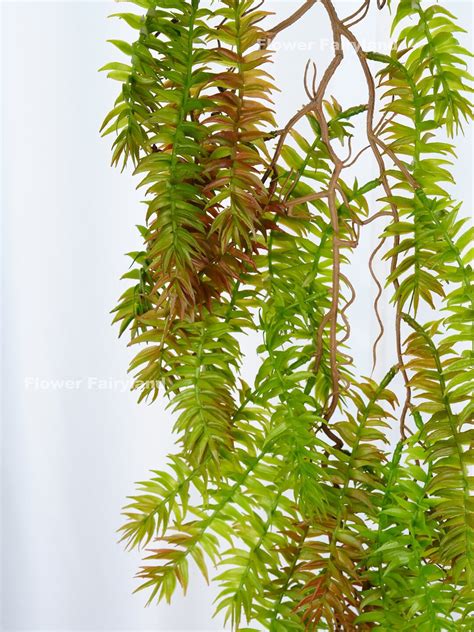 Faux Pteridophyllum Racemosum Fern Hanging Plant Vines Artificial Plant