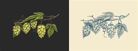 홉과 보리 맥아 맥주 빈티지 세트가 새겨져 있습니다 손으로 그린 컬렉션 웹 또는 펍 메뉴에 대한 스케치 흰색 배경에 격리 된 디자인 요소 홉에 대한 스톡 벡터 아트 및 기타