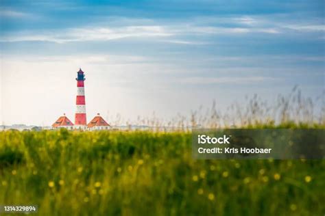 웨스터헤버 등대 또는 웨스터헤버샌드 등대 슐레스비히 홀슈타인 독일 슐레스비히 홀슈타인 독일이라고 불리는 무성한 목초지 근처의 무성한 목초지 뒤에 있는 가장 유명한 빨간색과