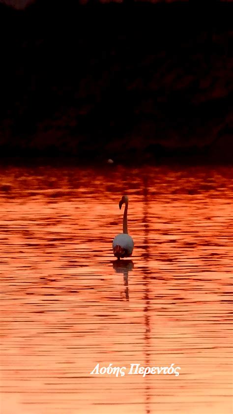 Όμορφες εικόνες από την Λάρνακα Cy
