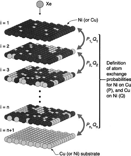 Model Predicted Composition Profiles Across The Thickness Of The
