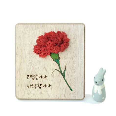 감나무아트 카네이션액자만들기 키트 어버이주일 2부순서 두란노몰