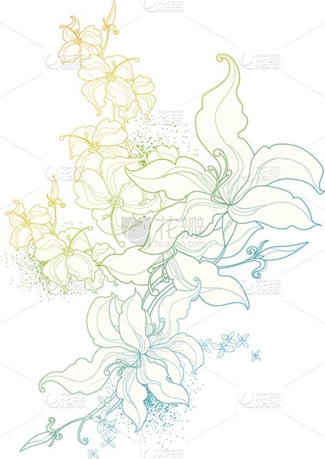 矢量 背景 萱草 绘画插图 艺术 形状 无人 计算机制图 计算机图形学 百合花素材 花瓣网