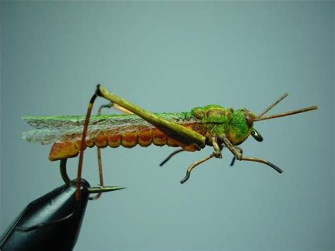 20 Grasshopper Patterns Ideas Fly Tying Fly Fishing Fly Tying Patterns