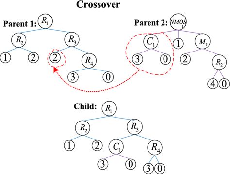 an example of topology crossover operation download scientific diagram