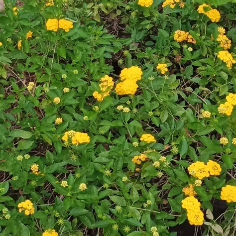 Eleena Thomas Posted On Linkedin