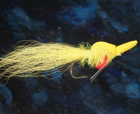 The Complete Guide To Freshwater Striped Bass Fly Tyer