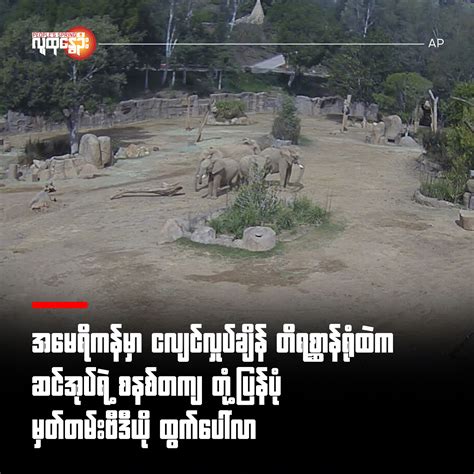 Peoples အမေရိကန်မှာ ငလျင်လှုပ်ချိန် တိရစ္ဆာန်ရုံထဲက ဆင်အုပ်ရဲ့ စနစ