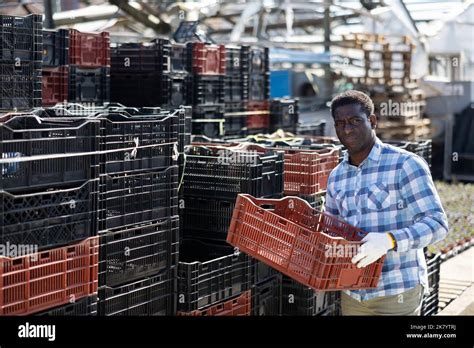 Worker Stacking Crates In Outdoors Warehouse Stock Photo Alamy