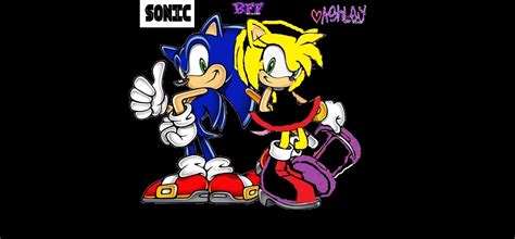 Sonic And Ashley Bff Ashley The Hedgehog Photo 19266261 Fanpop