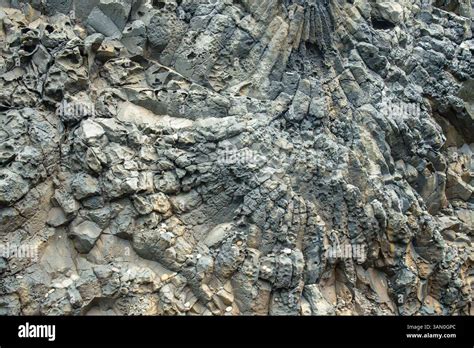 Intricate Patterns And Textures Are Visible In A Rocky Coastal Formation Showcasing Natural