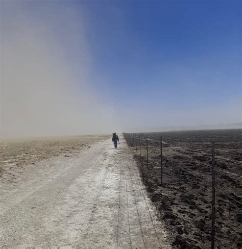 Atienden Brigadas Forestales Incendios Tras Fuertes Vientos En La
