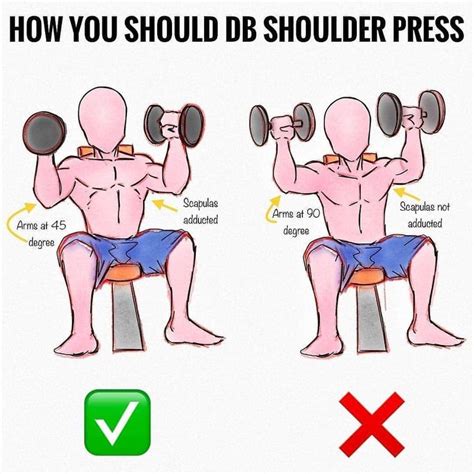 DUMBBELL SHOULDER PRESS Follow Ejmwellness For The BEST In