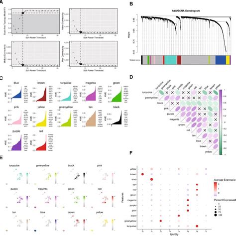 Single‐cell Analysis Reveals Cell Type Composition And Macrophage