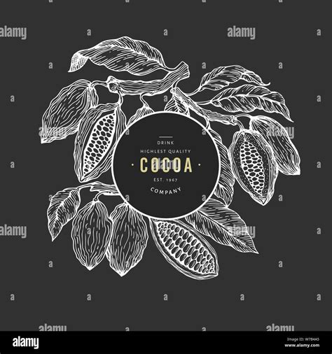 Cocoa Bean Tree Banner Template Chocolate Cocoa Beans Background Vector Hand Drawn