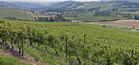 Best Places To Stay In La Morra Italy The Hotel Guru