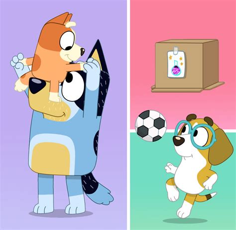 Play Wheres Bingo Around Your House Bluey Official Website