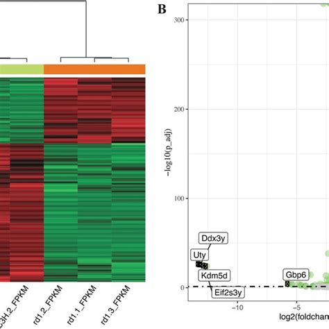 Identification Of Differentially Expressed Genes Degs By Rna Seq A