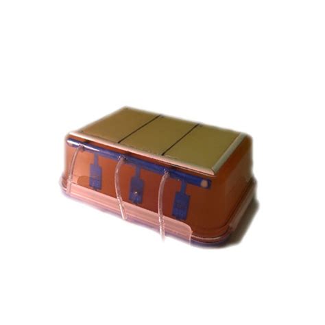 True Phantom Doppler Phantom Model