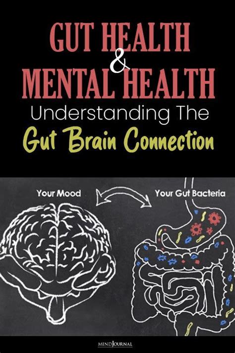 Gut Health And Mental Health Understanding The Gut Brain Connection