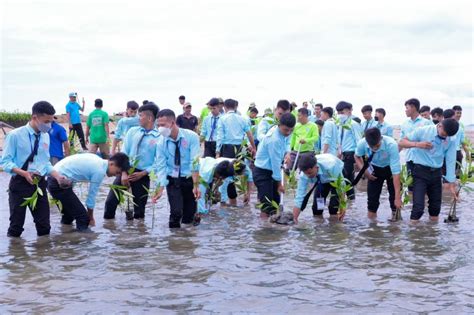 អាជ្ញាធរខេត្តកែប ដាំកូនកោងកាងចំនួន ៦ ០០០ដើម នៅឆ្នេរសហគមន៍នេសាទ ភូមិថ្មី Ams Central