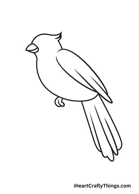 How To Draw National Bird Easy