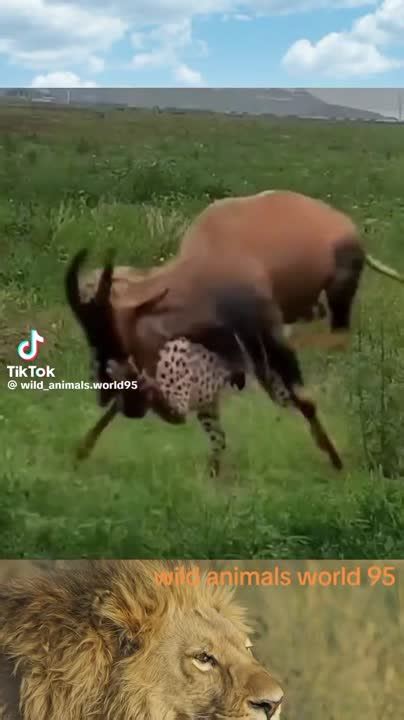 Muhammad Irfan On Linkedin Fight In The Way That Your Undefeatable