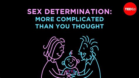 Sex Determination More Complicated Than You Thought Youtube