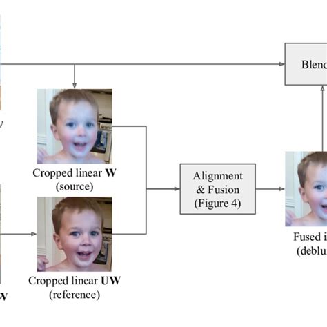 Synthetic Motion Blur Kernel We Randomly Sample A 2d Camera Trajectory