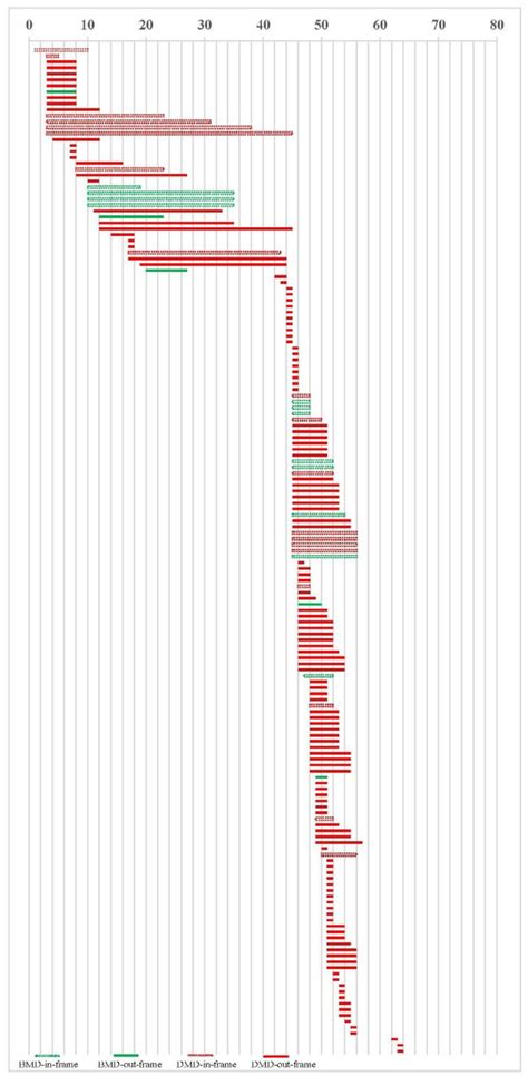 Deletion And Duplication Location In 169 Cases Download Scientific