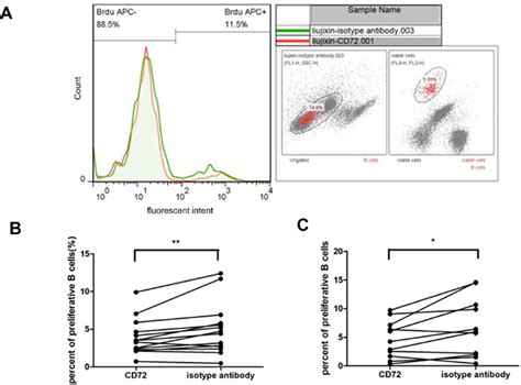 The Effect Of Anti Cd72 On B Cell Proliferation During In Vitro Culture