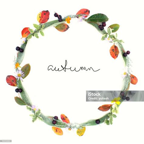 가가 라운드 프레임 화 환 잎 꽃과 필기 비문 가 흰색 배경에 고립 된 딸기 평면 위치 최고 보기 0명에 대한 스톡 사진 및 기타 이미지 Istock