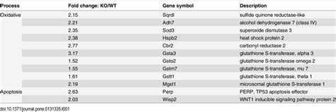Microarray Based Transcript Analysis Was Performed On Early Passage