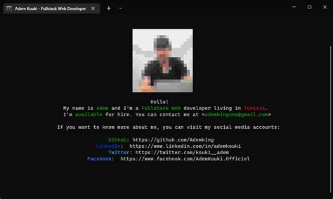 Github Ademkingterminal Portfolio Terminal Portfolio Using Nodejs