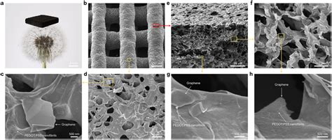 The Microstructure Of The 3d Printed G Pedot Pss Aerogels A Download Scientific Diagram