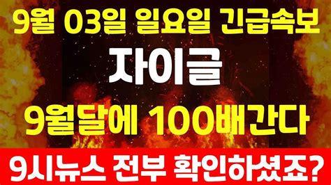 자이글 자이글주가 자이글주가전망 자이글목표가 Youtube