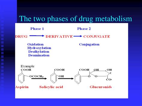 Ppt Drug Elimination Metabolism Excretion Powerpoint