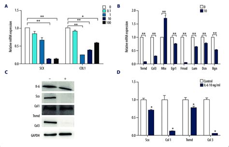 Il 6 Showed Inhibitory Effect On Tenogenic Differentiation Of Tdscs Download Scientific