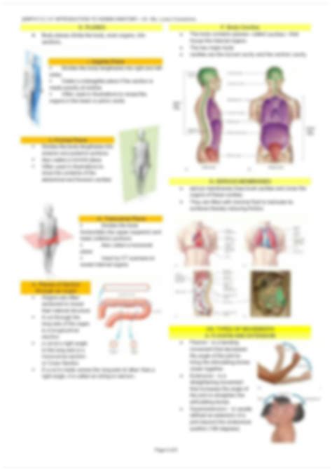 Solution Human Anatomy Simple Explanation Studypool