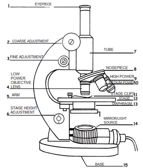Label Microscope Diagram