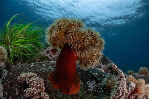 Photos from Remote Moneron Island: A Hidden Wildlife Paradise | PetaPixel
