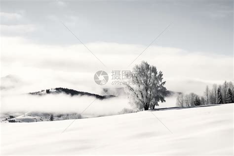 白蒙蒙的山地高清图片下载 正版图片600232164 摄图网