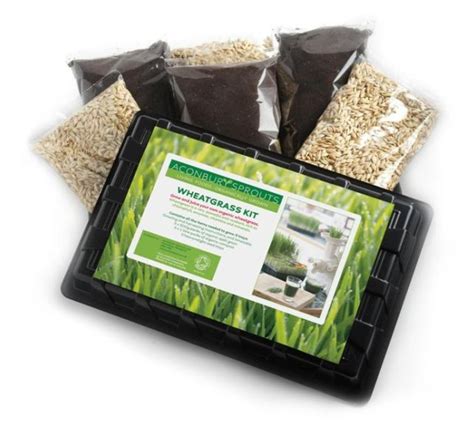 Aconbury Wheatgrass Wheatgrass Kit