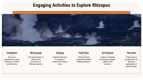 Engaging Activities To Explore Rhizopus Ppt Presentation St Ai Ss Ppt Slide