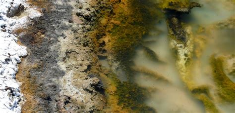 Metabolic Evolution In Ancient Microbial Ecosystems Research Communities By Springer Nature