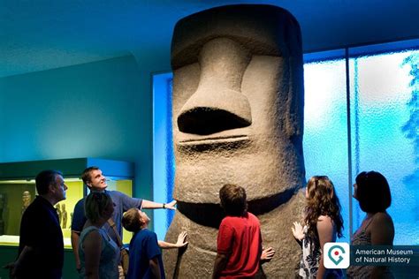 Go City New York Explorer Pass 15 Things To Do Including Edge