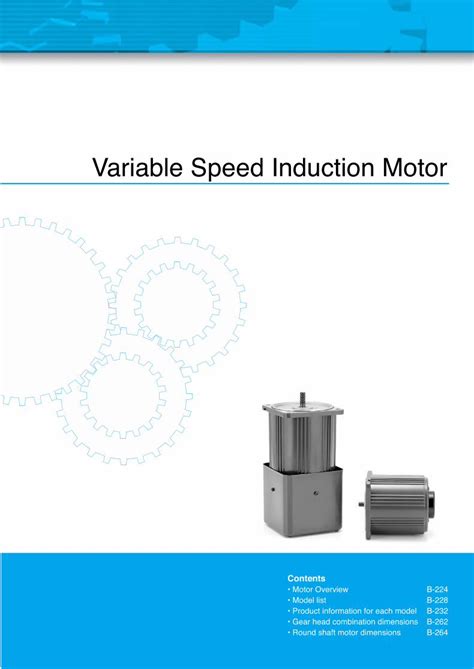 Pdf Variable Speed Induction Motor Panasonic Speed Induction Motor